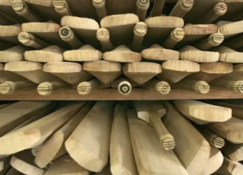 What Kind of Wood Makes a Good Cricket Bat and How are They Made ...